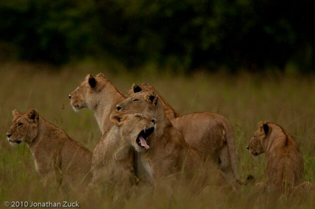 Jonathan Zuck, yawn, photograph – DC Art Events | DC Wedding Reception ...